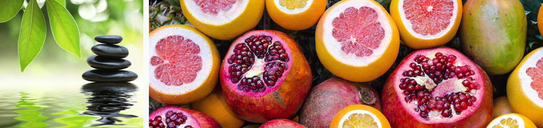 Program FAQ - CSNN National Page