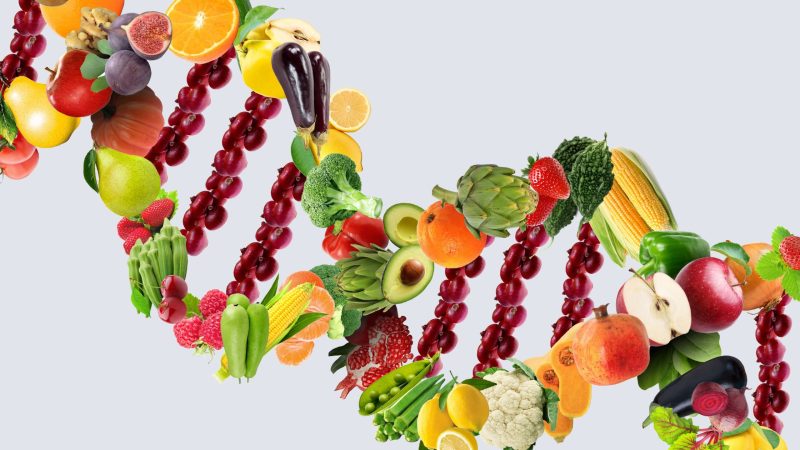 The Diet-Gene Connection: A Whole Foods Diet as a Proactive Epigenetic ...